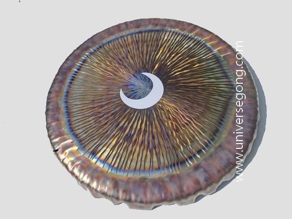 Universe Gong®