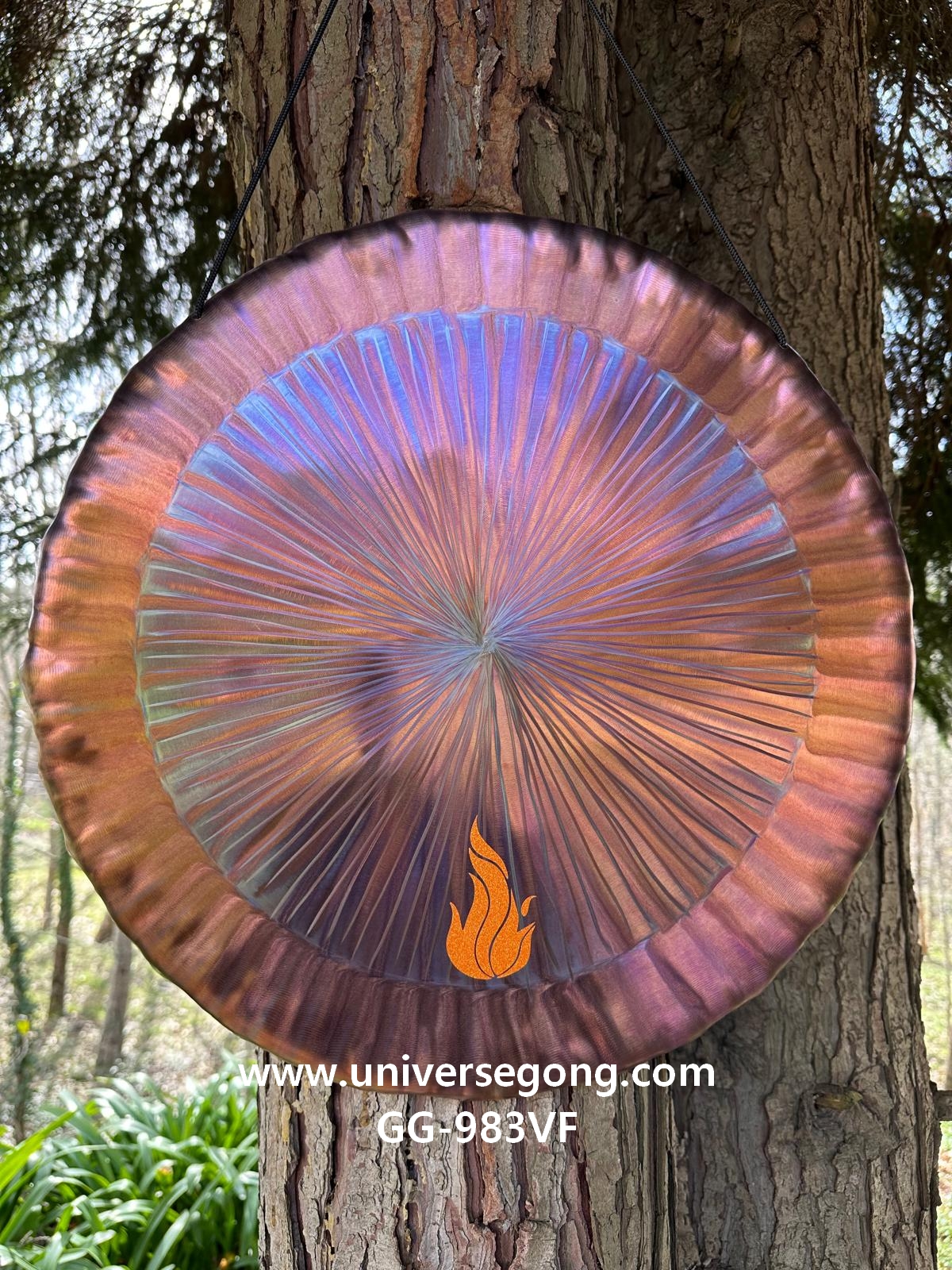 Universe Gong®